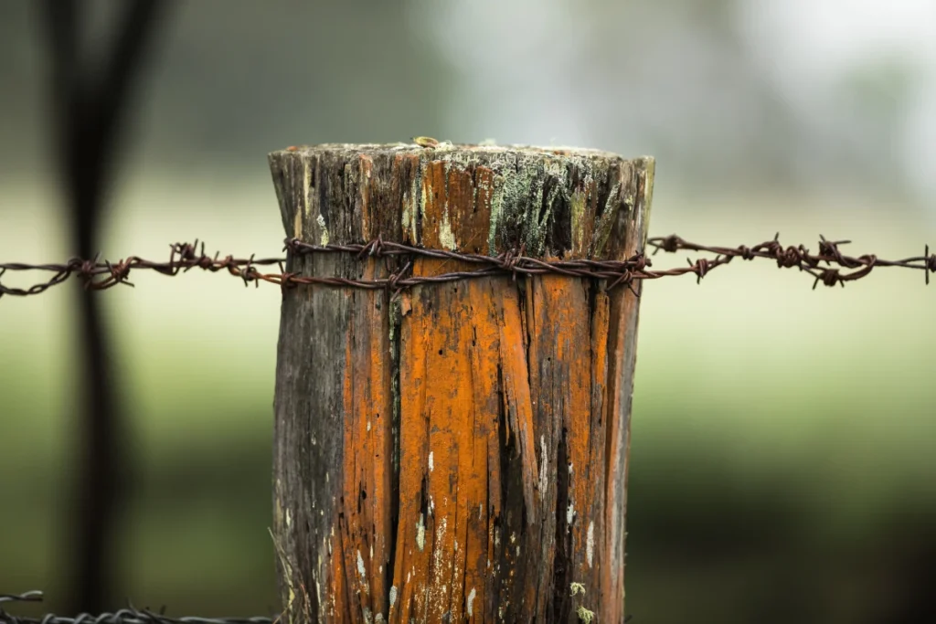 A Comprehensive Guide To Choosing The Right Rural Fencing Materials ...